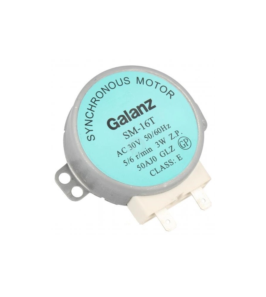 SM-16T MOTOR AC 30V 5/6 RPM